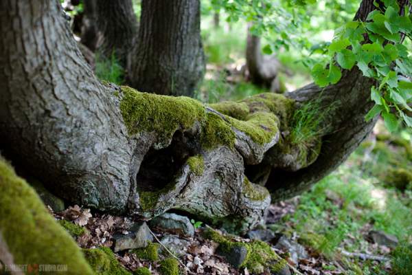 Ostrzyca | Extinct Volcano | How to enter the | Car park